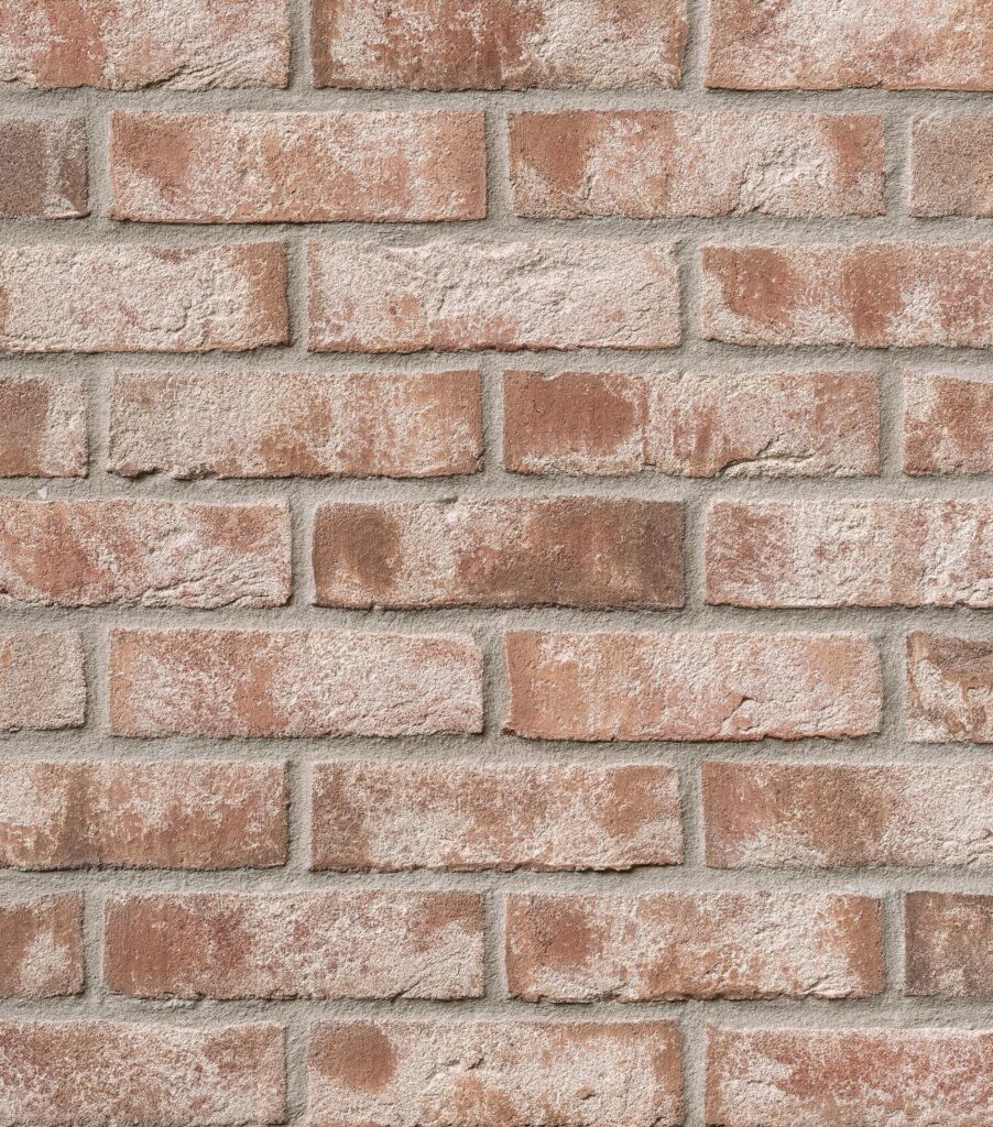 Moorbrand reet-bunt – Röben Bricks